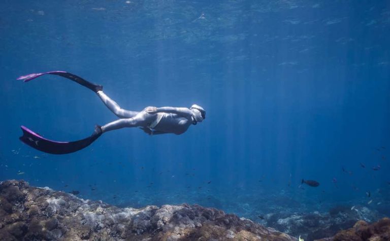 Deep Dive into Hypothesis-based Problem Solving